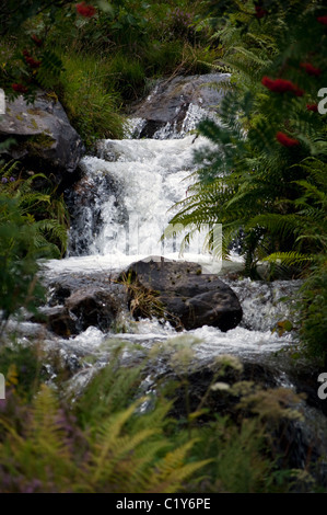 Waterfall, Glen Shiel, Highlands, Scotland, UK Stock Photo - Alamy