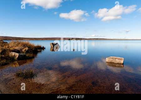 Smiddy Shaw Reservoir, North Pennines, sun on grasses Stock Photo - Alamy
