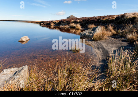 Smiddy Shaw Reservoir, North Pennines, sun on grasses Stock Photo - Alamy