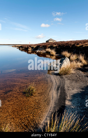 Smiddy Shaw Reservoir, North Pennines, sun on grasses Stock Photo - Alamy