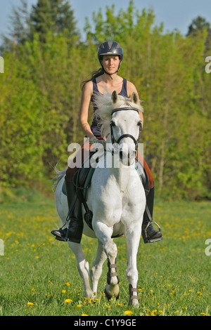 woman and German Riding Pony Stock Photo - Alamy