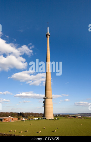 Emley Moor mast, transmitting tower, against a blue sky, West Yorkshire ...