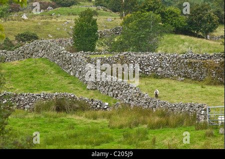 Landscape in Joyce's Country Ireland Stock Photo - Alamy