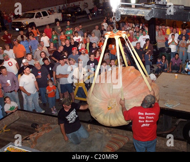 Bill Neptune of New Concord, Ohio kneels next to his 1,503 pound ...