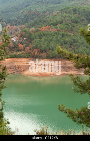 Views of the azure mountain lake through the pine forest Stock Photo ...