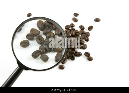 Inspection of quality coffee beans Stock Photo - Alamy