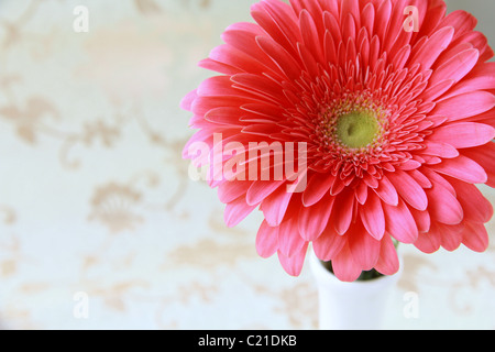 Pink bright Gerbera on a silk background Stock Photo - Alamy