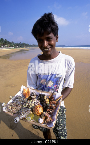 man, beach, seashells, sea shells, diani beach, mombasa, kenya, man ...