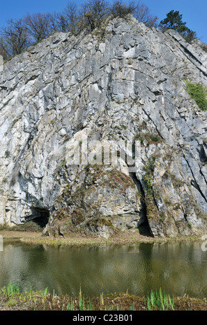 The Rock of Falize, a Frasnian limestone anticline from the Devonian ...