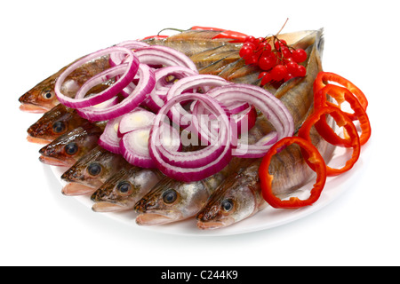 Fresh fish Red sea perch (or bigeye fish), seafood. Hand drawn ...