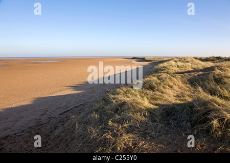 Beach and dunes at Saltfleet Haven Stock Photo - Alamy
