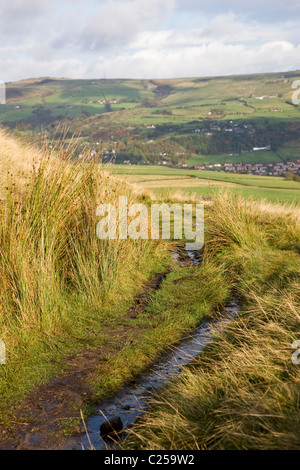 Pathway and farmland from Langfield Edge Stock Photo - Alamy