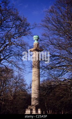 The Bridgewater Monument, is a tower on the Ashridge Estate ...