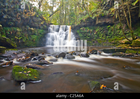 Goit Stock Falls in heart of Goit Stock Wood Stock Photo - Alamy