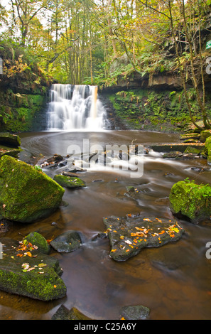 Goit Stock Falls in heart of Goit Stock Wood Stock Photo - Alamy