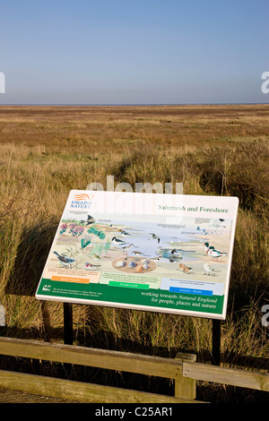 Dunes at the Rimac National Nature Reserve at Saltfleet Stock Photo - Alamy