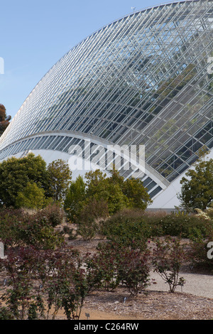 Massive glasshouse in the Adelaide Botanic Gardens, South Australia ...
