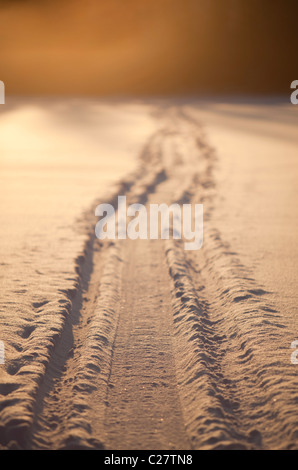 snowmobile marks on the snow Stock Photo - Alamy