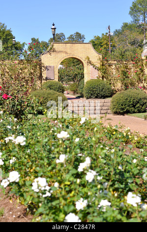 Tyler Rose Garden in Tyler, Texas Stock Photo - Alamy