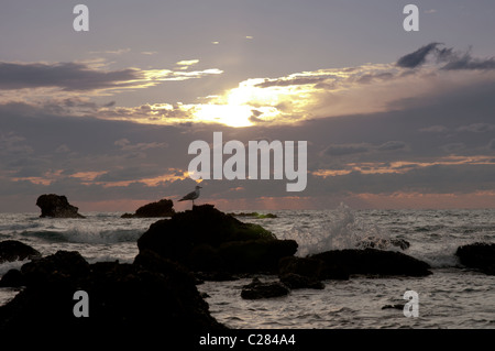 Corfu, Greece. October. Sunset from Pelekas beach Stock Photo - Alamy