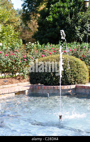 Tyler Rose Garden in Tyler, Texas Stock Photo - Alamy