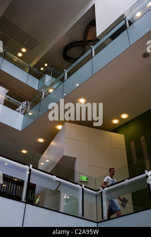 Brisbane Australia,Brisbane Square Library,interior inside,sign ...