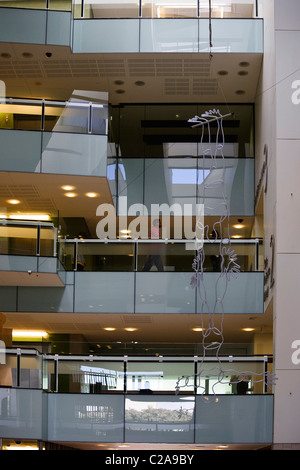 Brisbane Australia,Brisbane Square Library,interior inside,sign ...