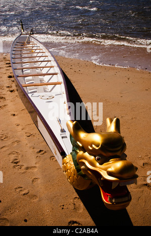 Dragon boat racing at Redcliffe Stock Photo - Alamy