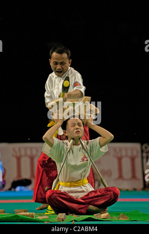 Thaing Bando exhibition by Myanmar Thaing Federation at Festival des ...