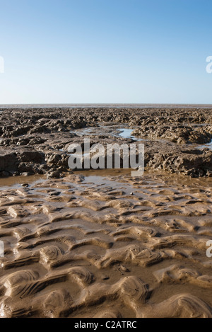 dried mud flats Stock Photo - Alamy