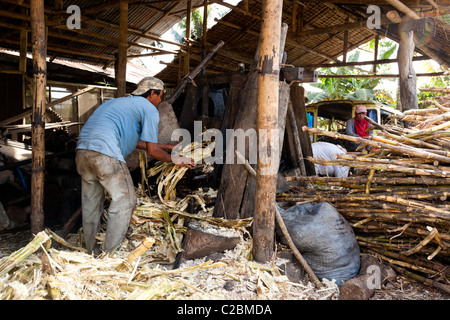 Filipino workers processing sugarcane through a press at a sugar mill ...
