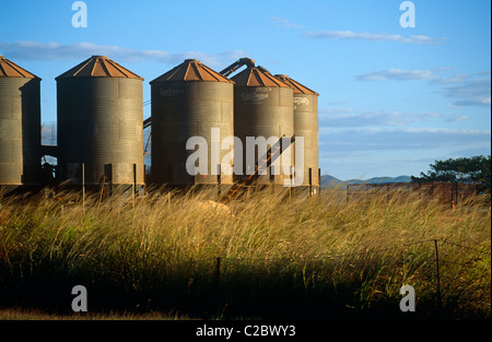 geography / travel , Australia, Queensland, farming / agriculture ...