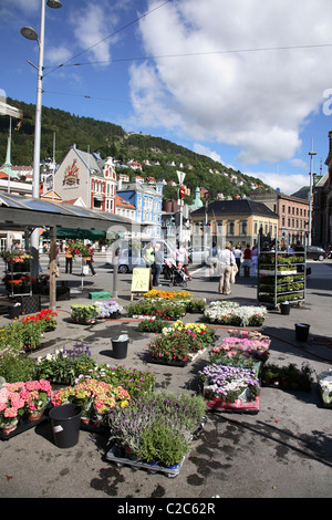 Flower Market, Bergen, Norway Stock Photo - Alamy