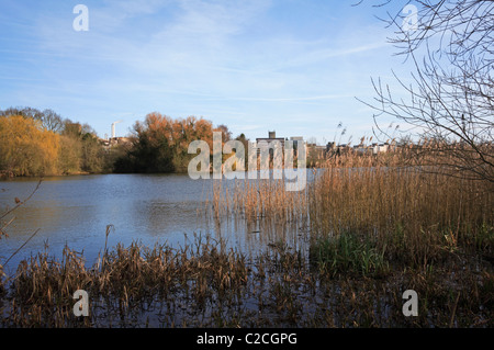 UEA lake the broad Stock Photo - Alamy