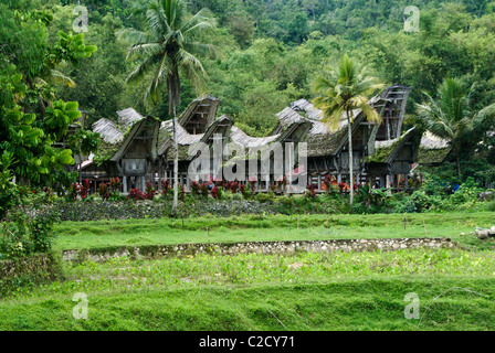 Traditional Torajan houses at Ke'te Kesu (Sulawesi - Indonesia ...