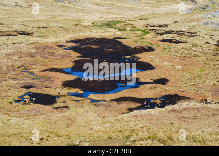 Small upland peat bog on Migneint, a Welsh upland habitat area in North ...