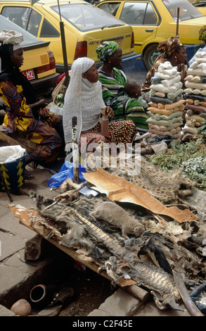 Mali, Bamako. A market stall in Bamako selling skulls of wild animals ...
