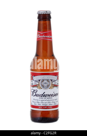 Bottle of ice cold Budweiser Beer, USA Stock Photo - Alamy