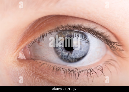 Shallow focus closeup shot of a woman's statue on a bridge Stock Photo ...