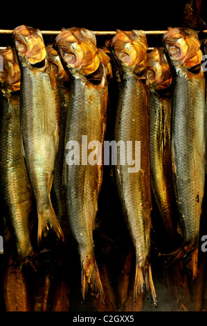 A traditional smokehouse full of herring at the annual herring festival ...