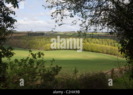 cotswolds rolling hills gloucestershire england uk Stock Photo - Alamy