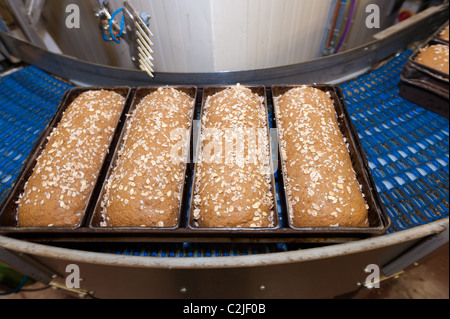 Loafs of bread being made in a factory Stock Photo - Alamy