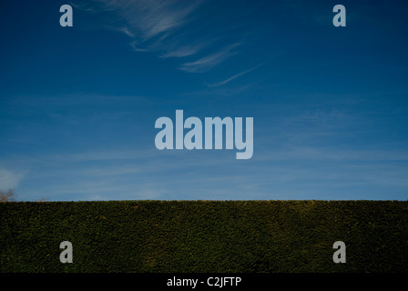 Hedge, blue sky and wispy clouds with space for text Stock Photo - Alamy