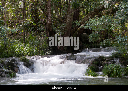 Falls along the Mossman River, Silky Oaks Lodge, Mossman, Queensland ...