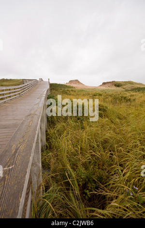 Boardwalk, Prince Edward Island National Park Stock Photo - Alamy