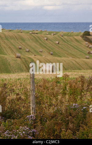 Prince Edward Island ASTER Stock Photo - Alamy