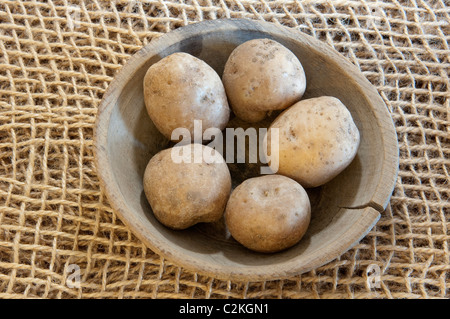 Potato La Bonnotte, potatoes (Solanum tuberosum Stock Photo - Alamy