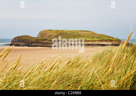 Burry Holms, Llangennith, Gower, Wales Stock Photo - Alamy