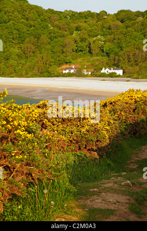 Pwlldu Bay Cottages, Gower, Wales Stock Photo - Alamy