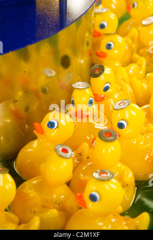 Plastic ducks from a childrens 'Hook A Duck' game at Kirtlington Feast ...